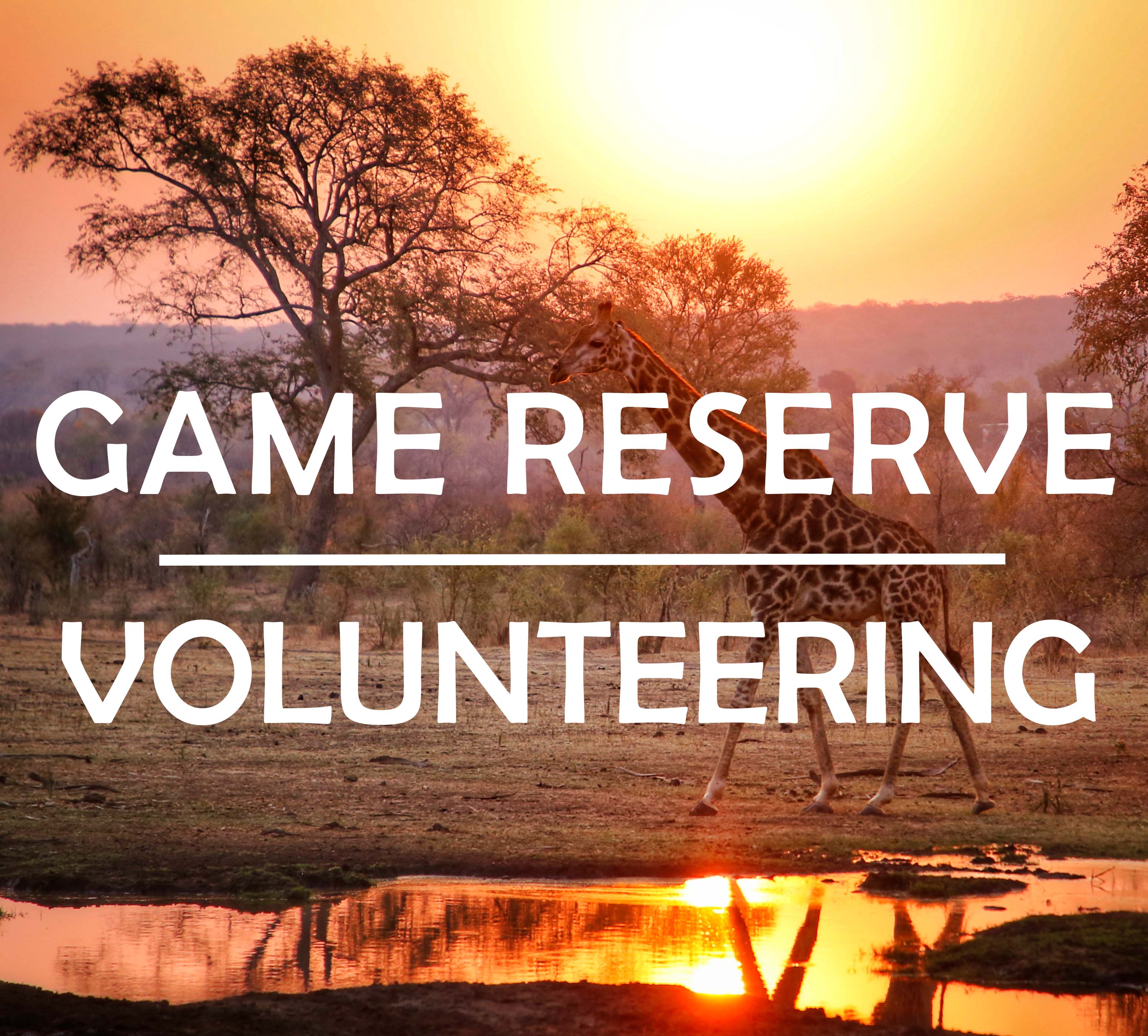 South Africa Game Reserve | Gap Year Programs | Gapforce UK